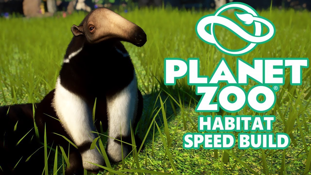 Building a Giant Anteater Habitat | Planet Zoo Speed Build - YouTube