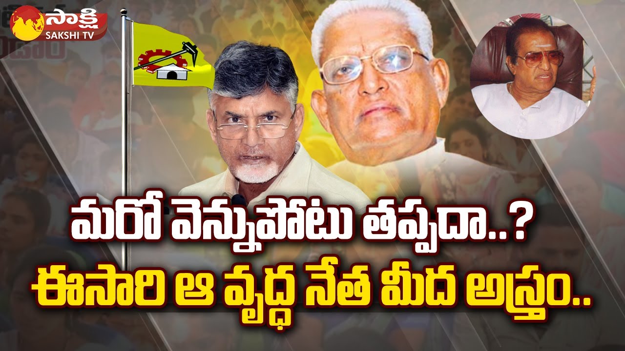 Political Corridor : Nellimarla TDP | Chandrababu | Pathivada Narayanaswamy Naidu @SakshiTV ...