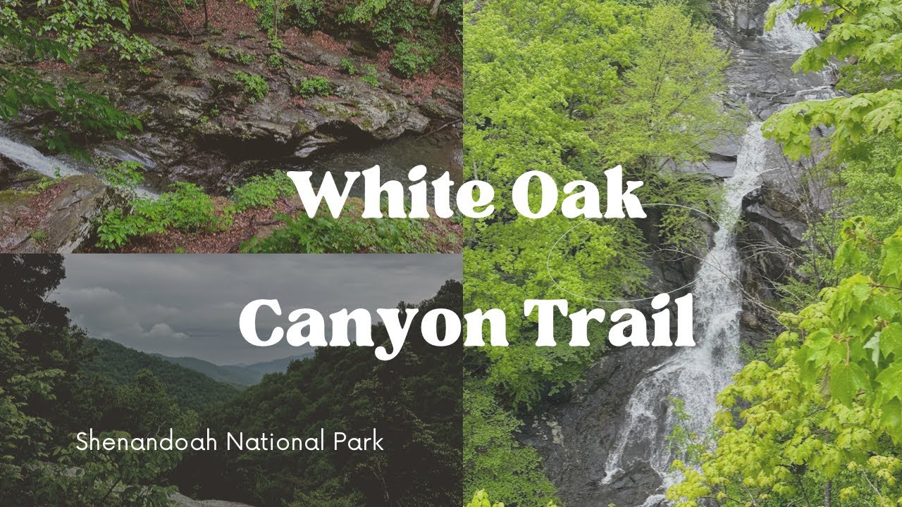 Hiking White Oak Canyon Trail | Shenandoah National Park | Virginia ...