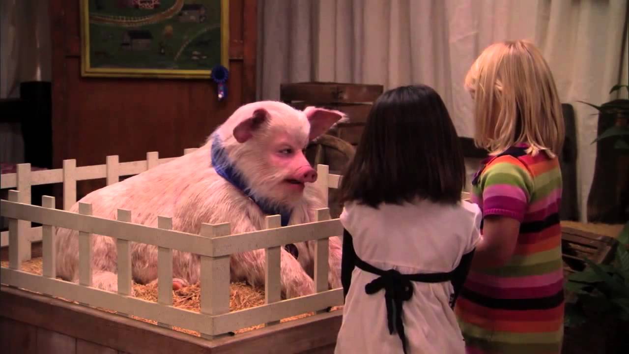 Jimmy El Cerdo - Jimmy the pig Traducido - YouTube