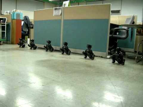 gee - Robot Dancing Team(Genibo) - YouTube