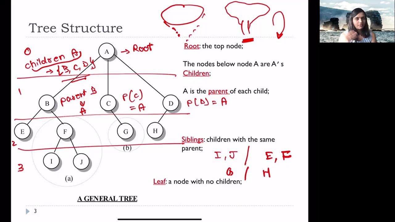 Introduction to Trees - YouTube