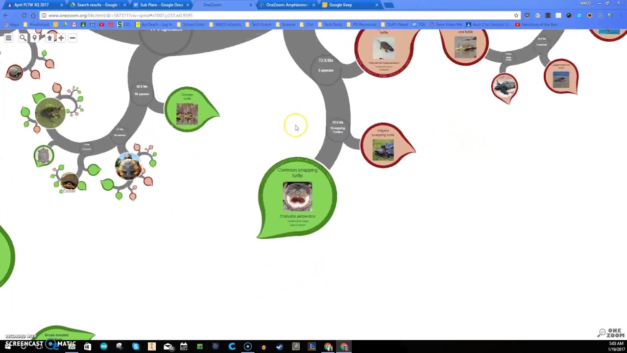 Tree of Life - OneZoom - YouTube