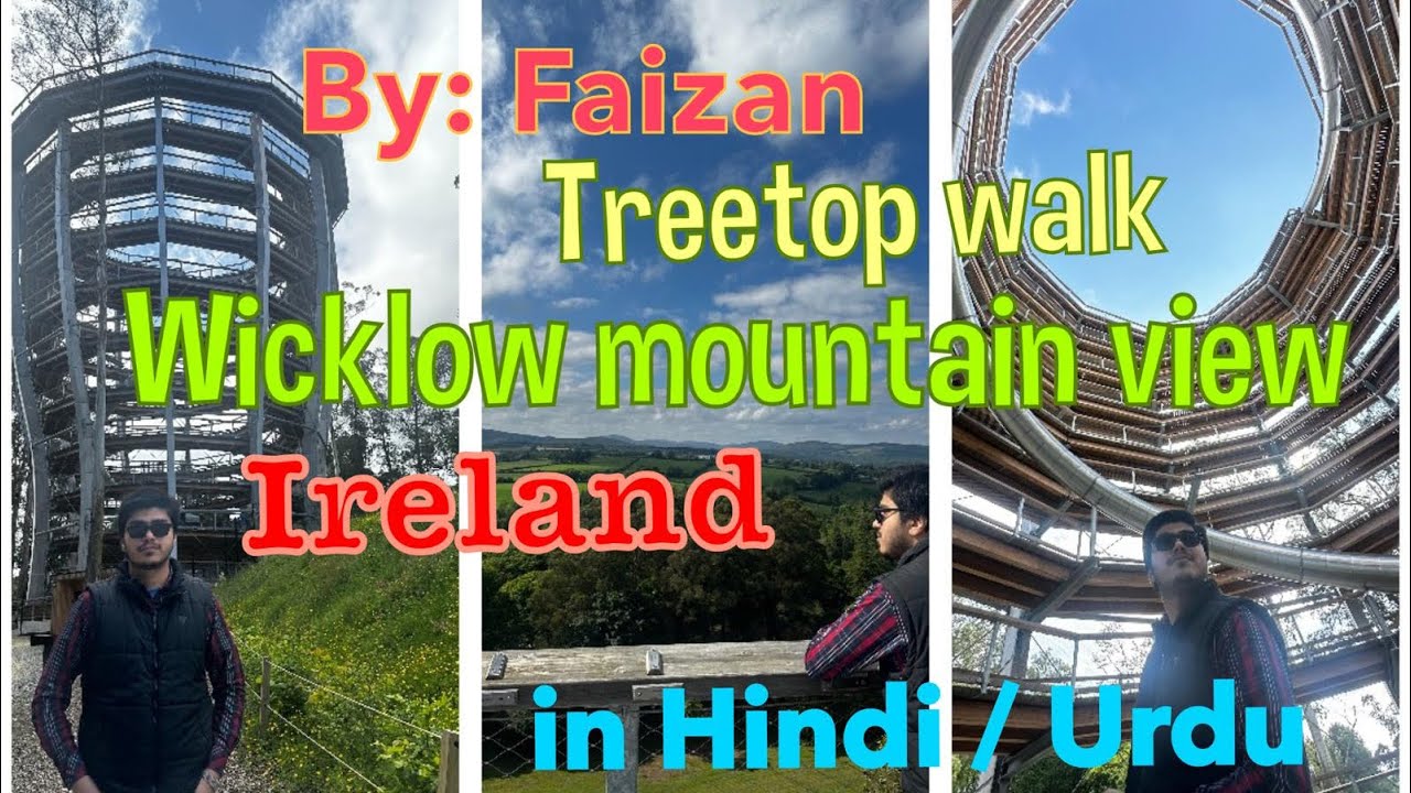 Treetop Walk Vlog Wicklow Ireland in Hindi/ Urdu Beautiful mountain ...