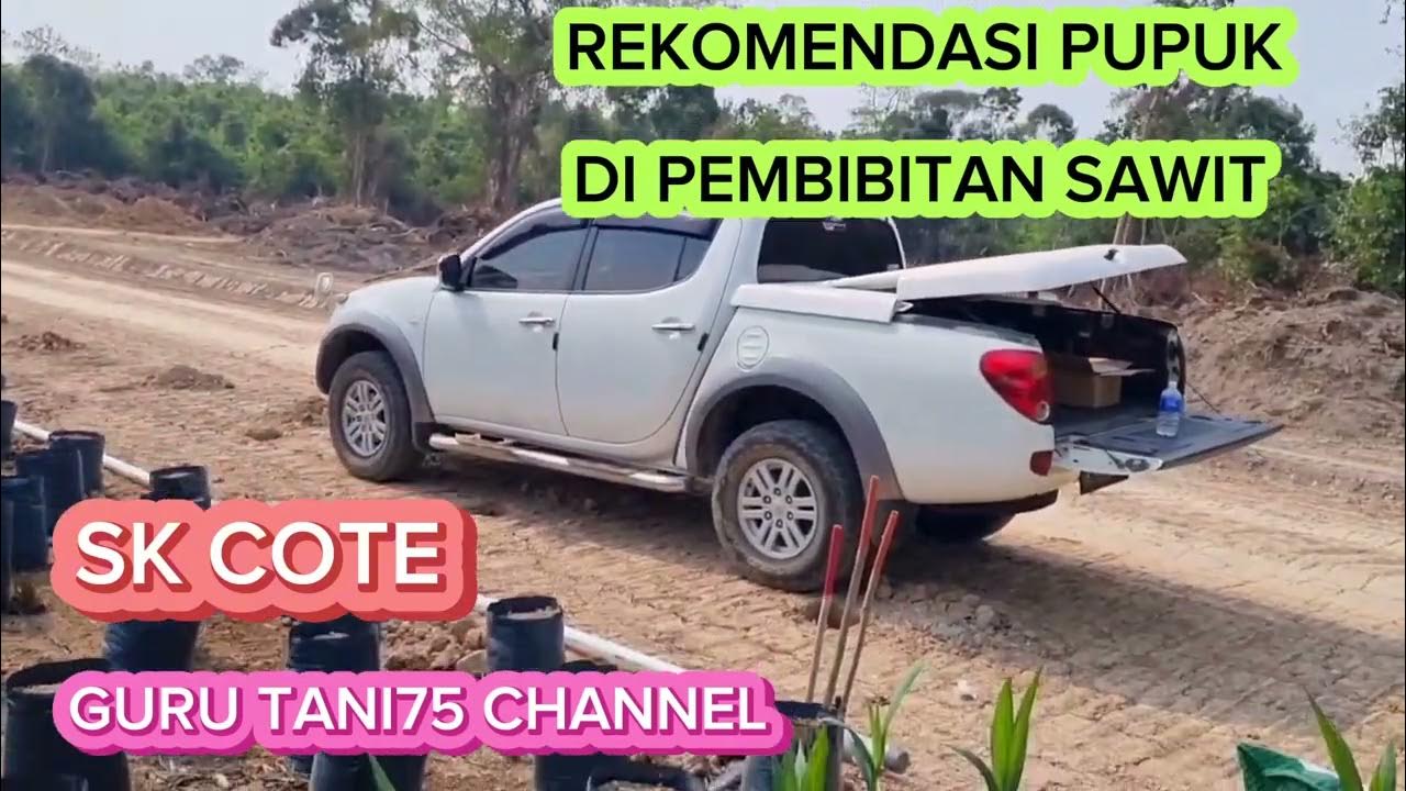 PUPUK TERBAIK UNTUK PEMBIBITAN SAWIT I GURU TANI75 - YouTube
