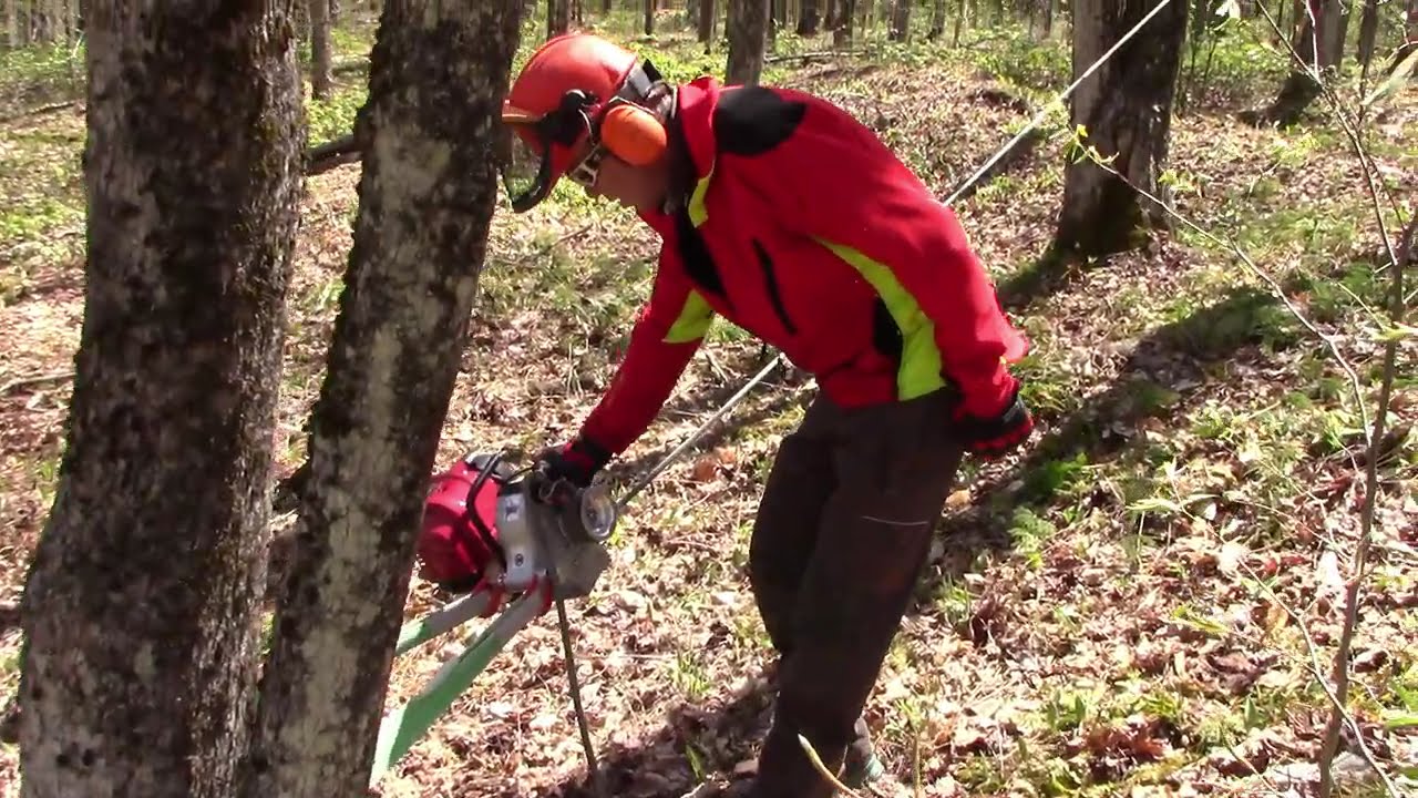 PCW4000 - Directional Felling - YouTube