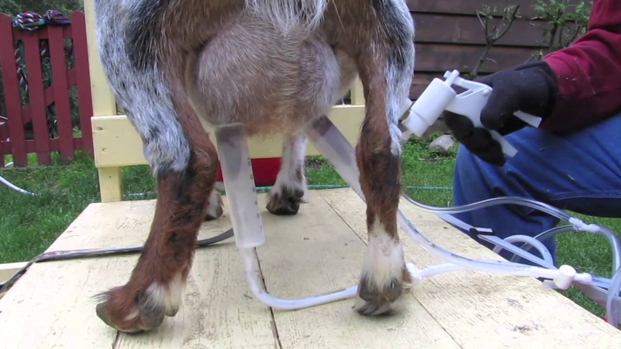 Henry Milker 2 Youtube