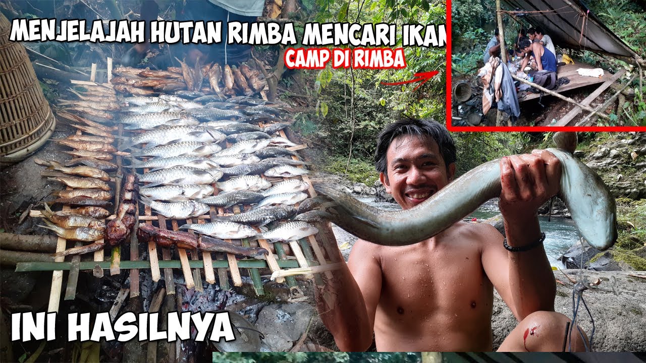 Camp Fishing Adventure Petualangan Mencari Ikan Ke Hulu Sungai Dalam ...