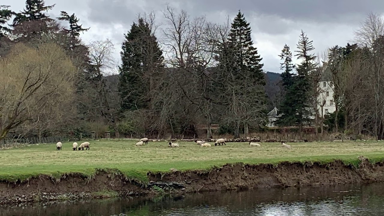 Walking by the River Tweed - YouTube