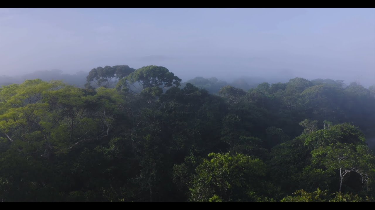 A True Paradise: Overcoming Paralysis - YouTube