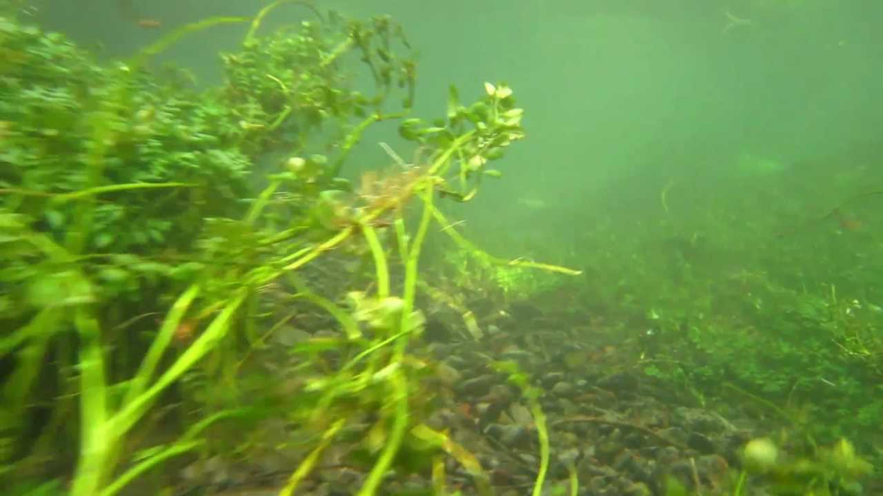 Sickergraben 2 - YouTube