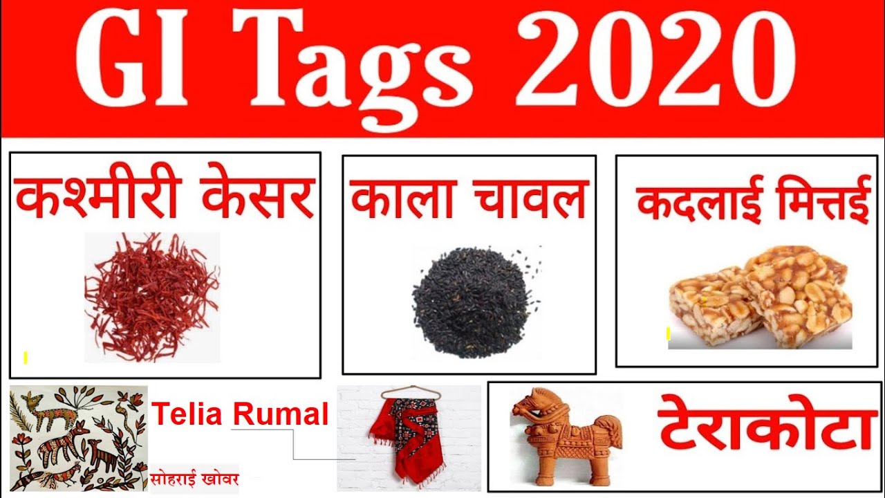 What Is GI Tag GI Tags 2020 In Hindi What Is GI Tag GI Tags 2020 In Hindi