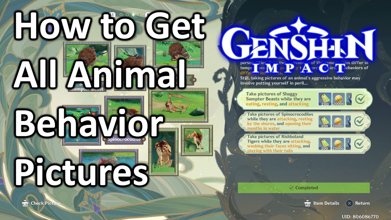 Get All Animal Behavior Pictures Genshin Impact - YouTube
