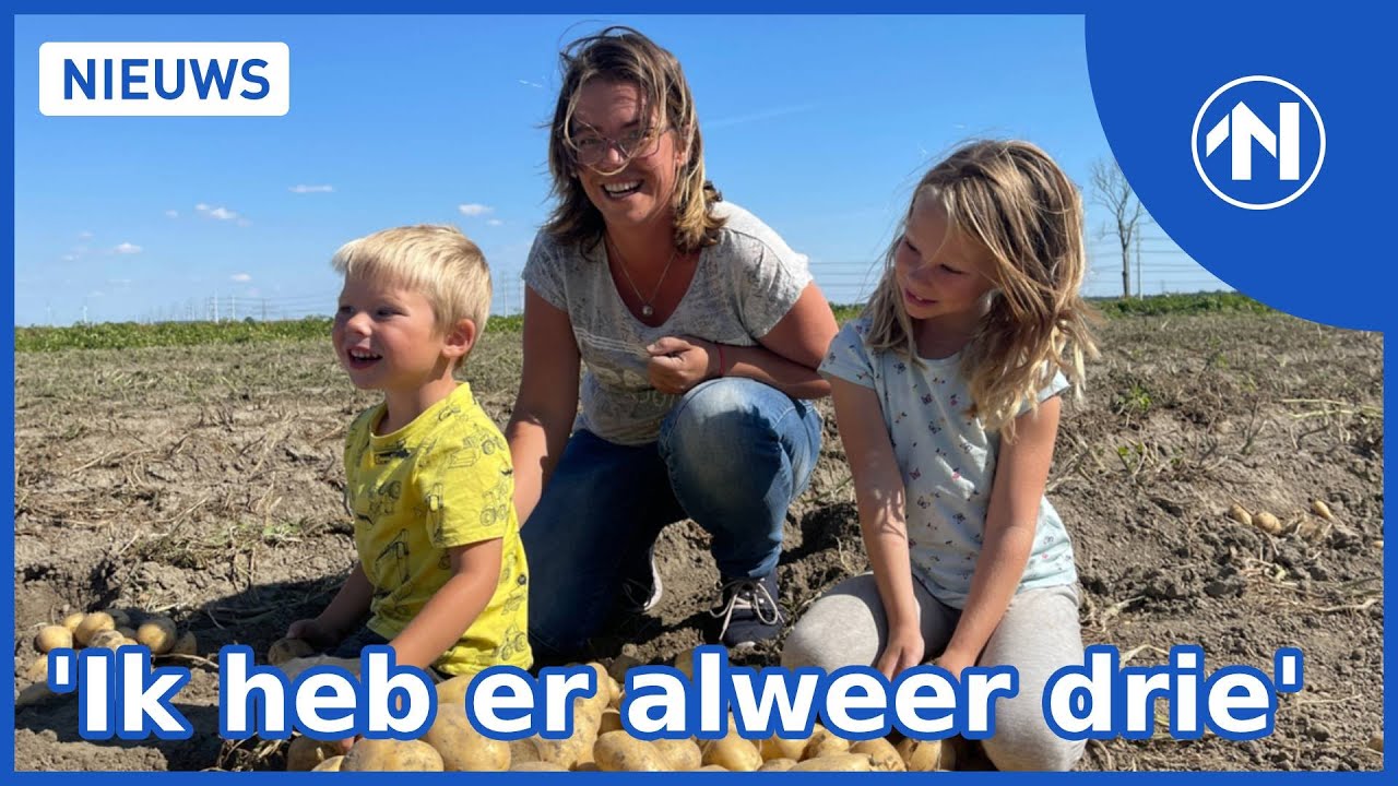 Zelf aardappels rooien bij de boer: 'Hartstikke mooi om te zien!' - YouTube
