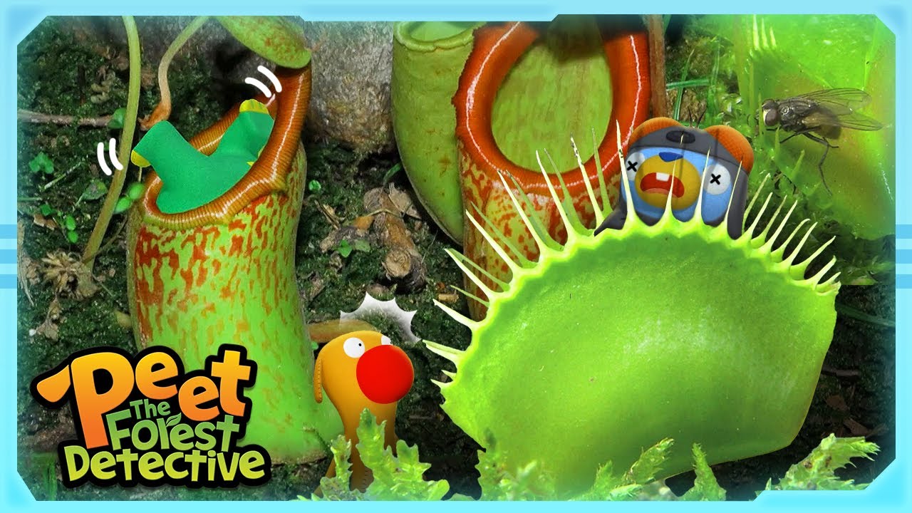 Scary Plants with Teeth | S1 EP4 | Nature Stories For Kids | Peet The ...