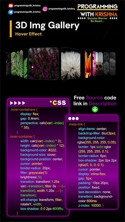 Image Gallery Html Css Js Programmingwithkrishna Html Css Cssanimation Js Javatutorial