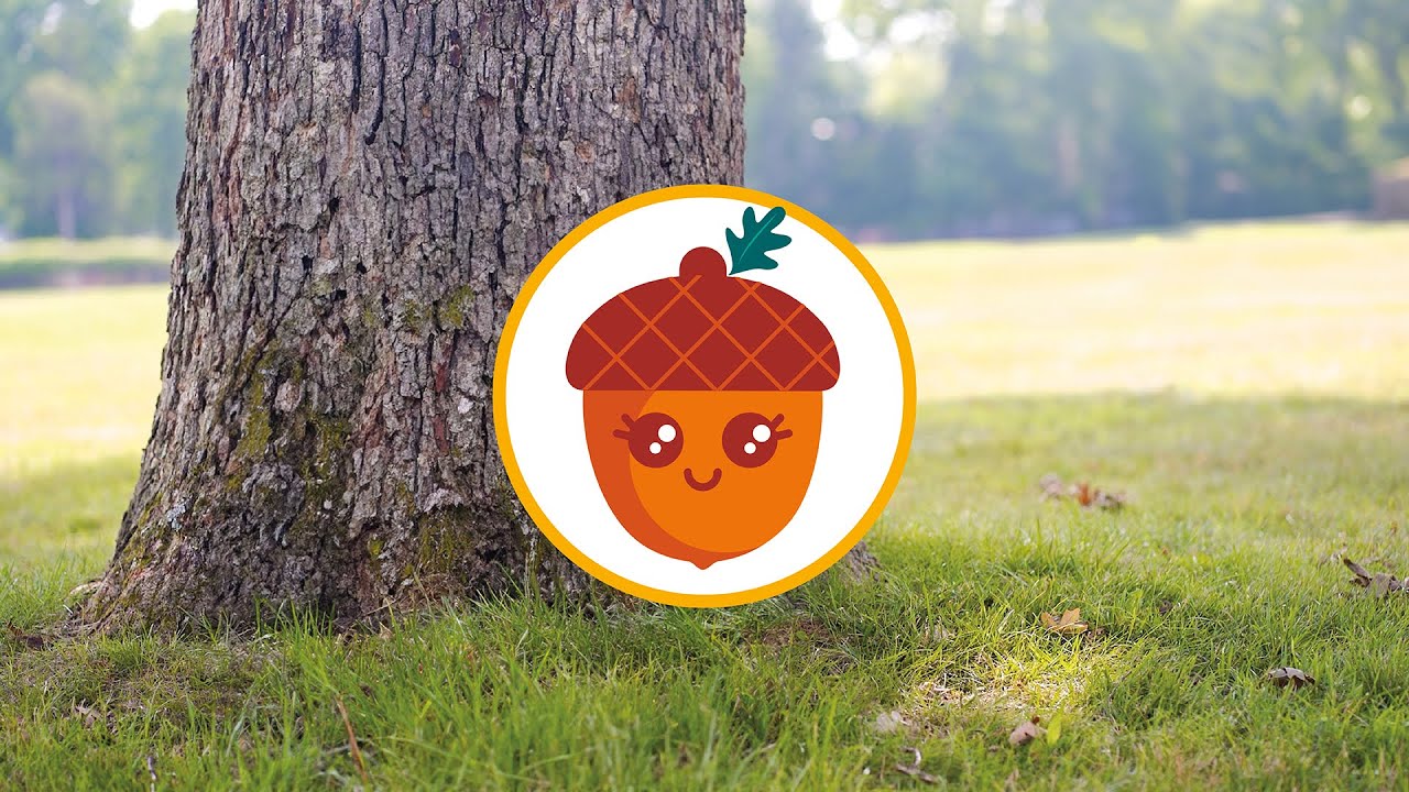 Camp Acorn | Summer Camp | Somerset Hills YMCA - YouTube