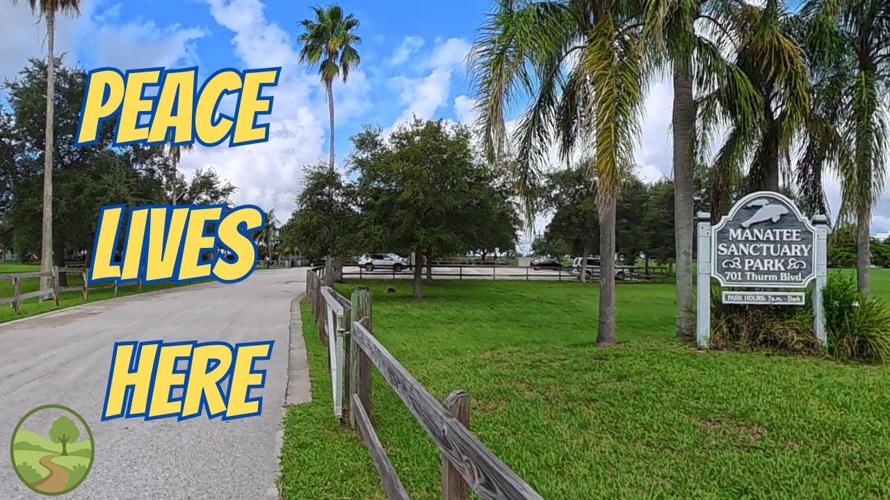 Peace Lives Here | Morning Reflections at Manatee Park, Florida - YouTube