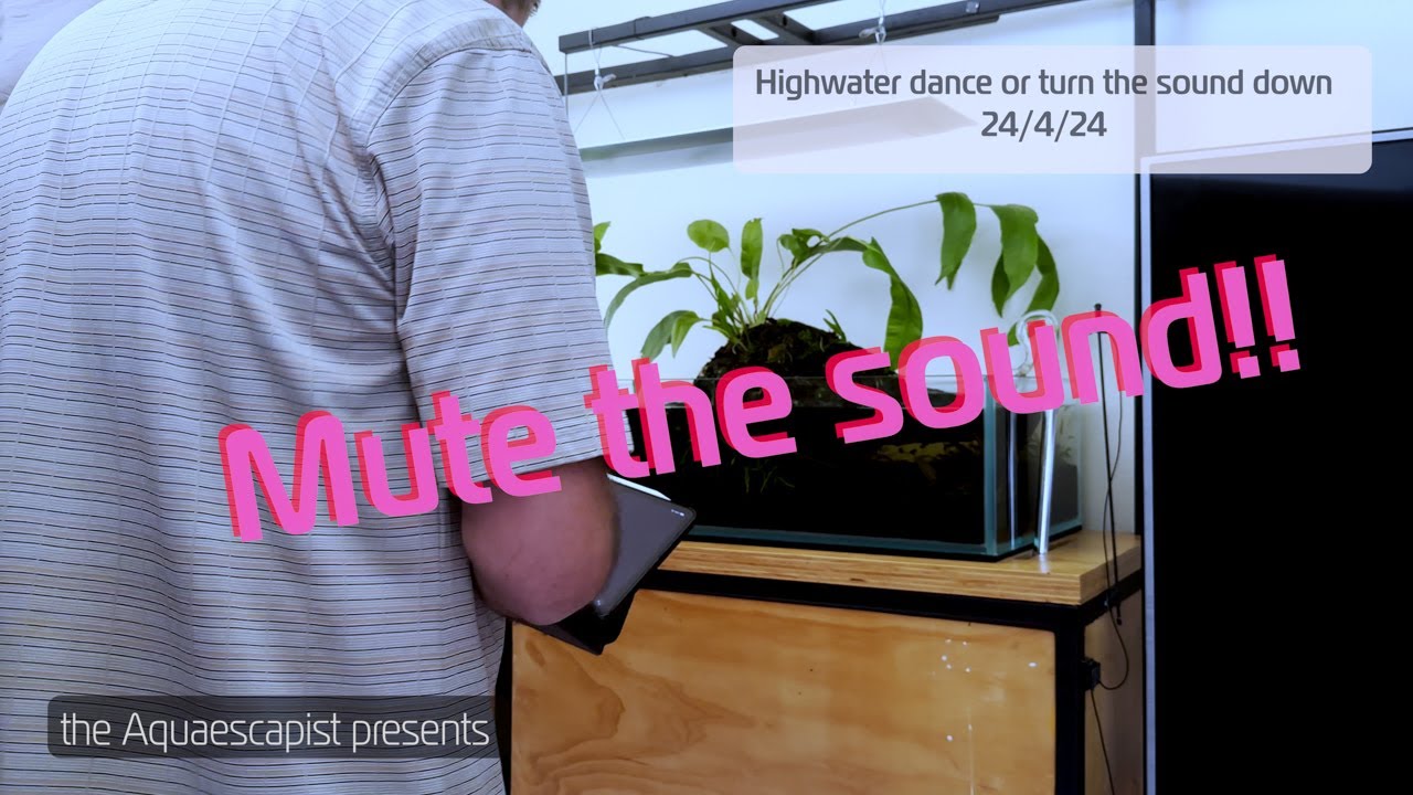 Highwater Dance or turn the sound down 24/4/24 Hangover 90 - YouTube
