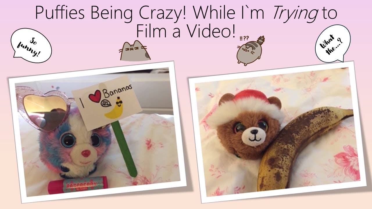 Crazy Puffies Youtube