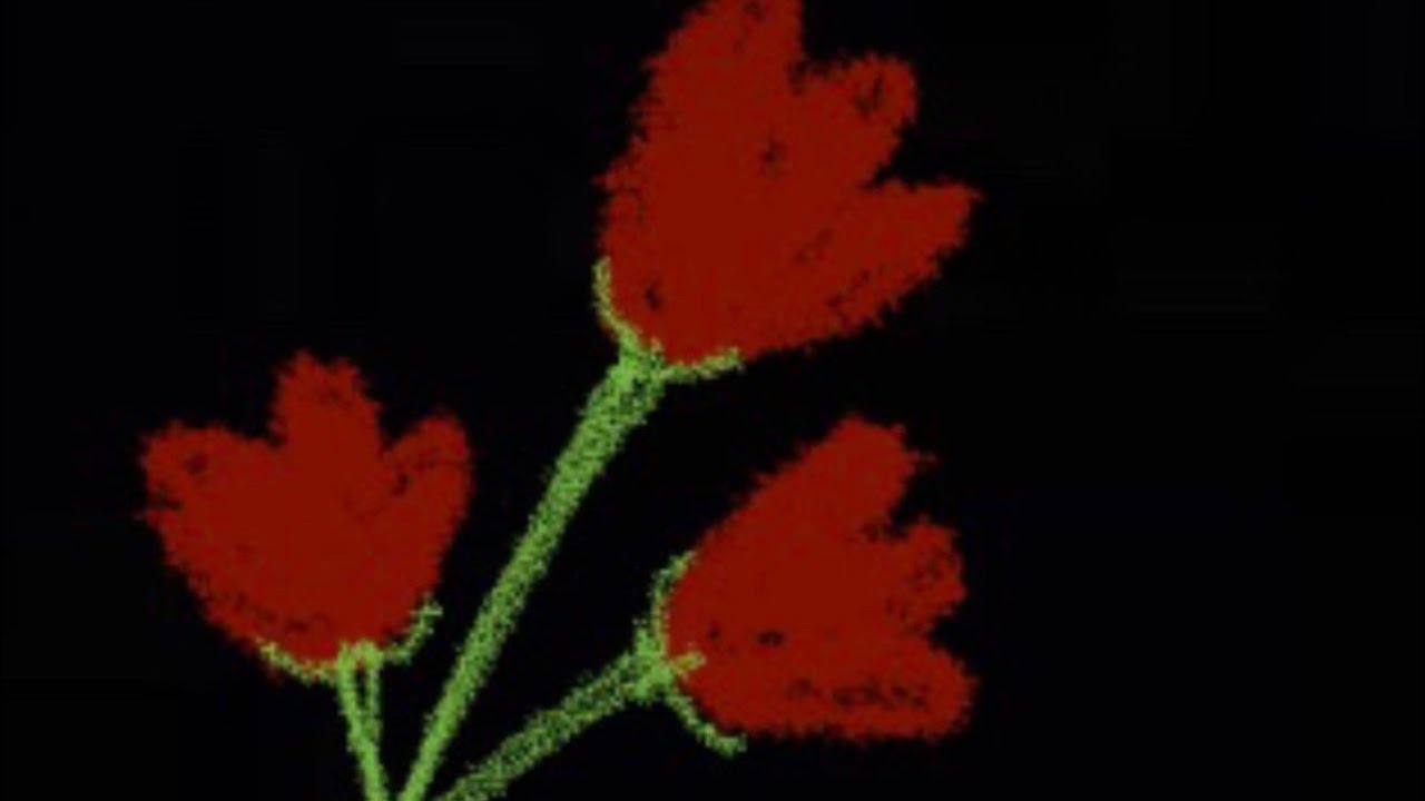 Timi sangai- Apurva Tamang | RYTHMcovers - YouTube