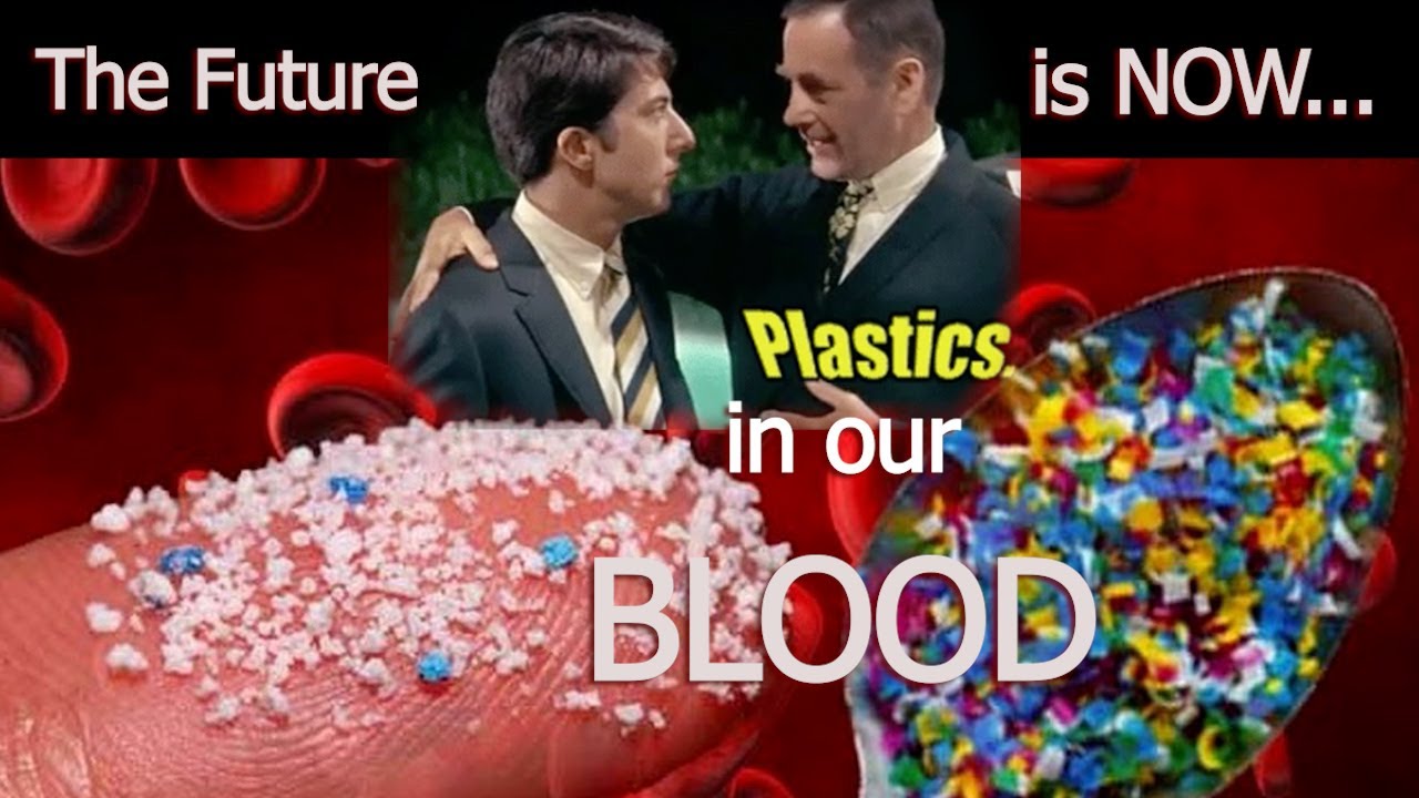 Dr. Chelsea Rochman shares the how & why of microplastics in our blood ...