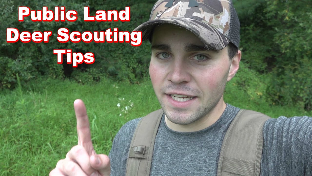 Public Land Deer Scouting Tips - YouTube