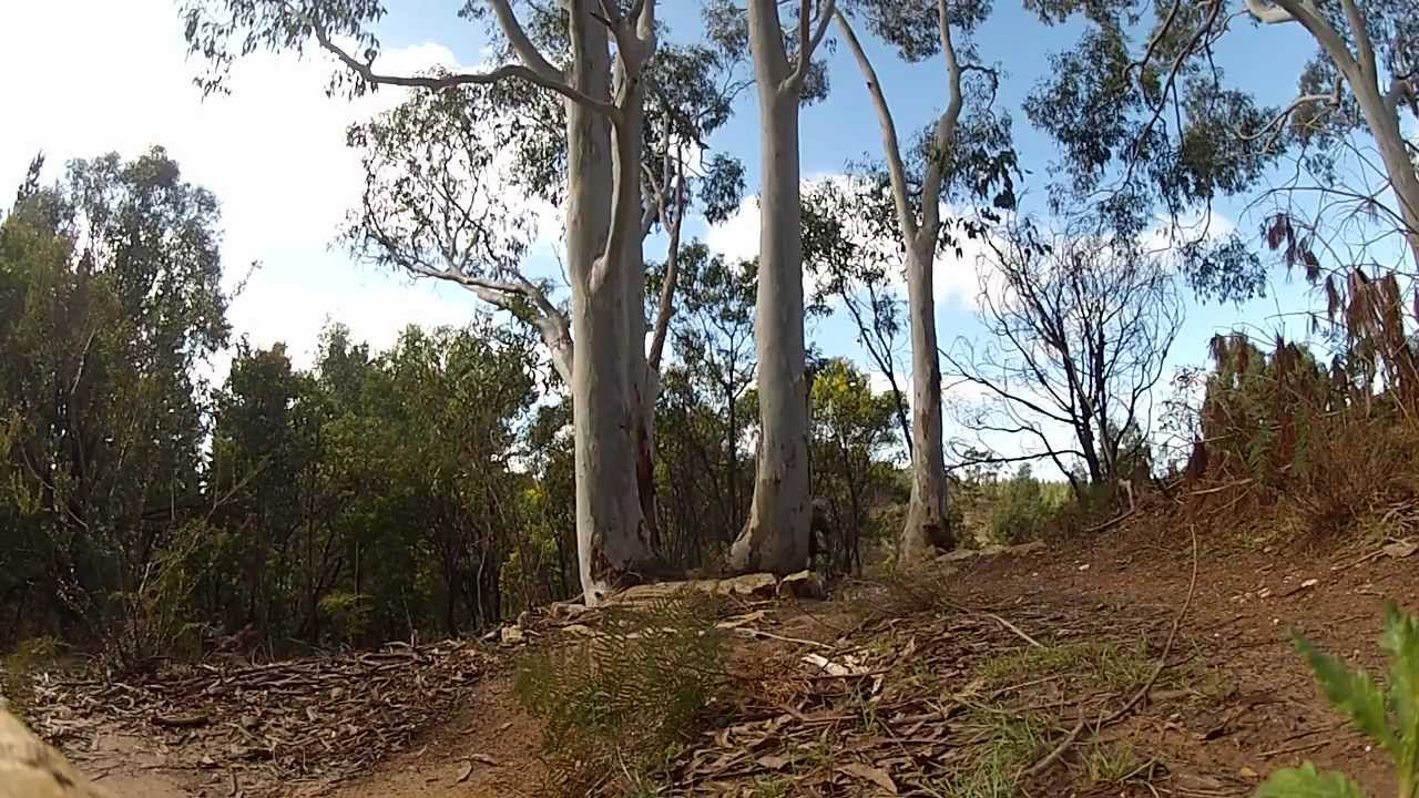 Fox Creek trails, Mt Crawford, Adelaide, South Australia. - YouTube