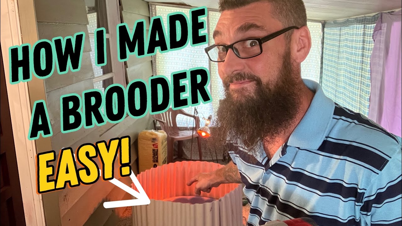 DIY kiddie pool chicken brooder upgrade - YouTube