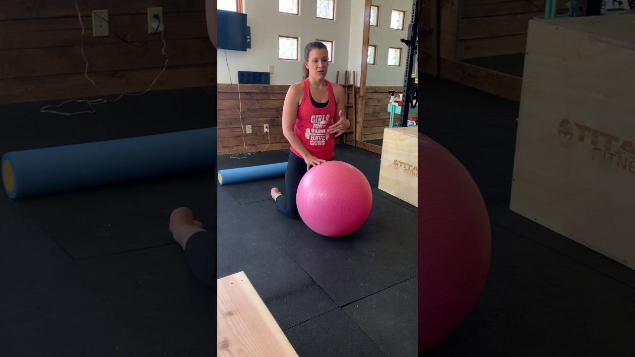 Modified bird dog on Stb ball - YouTube