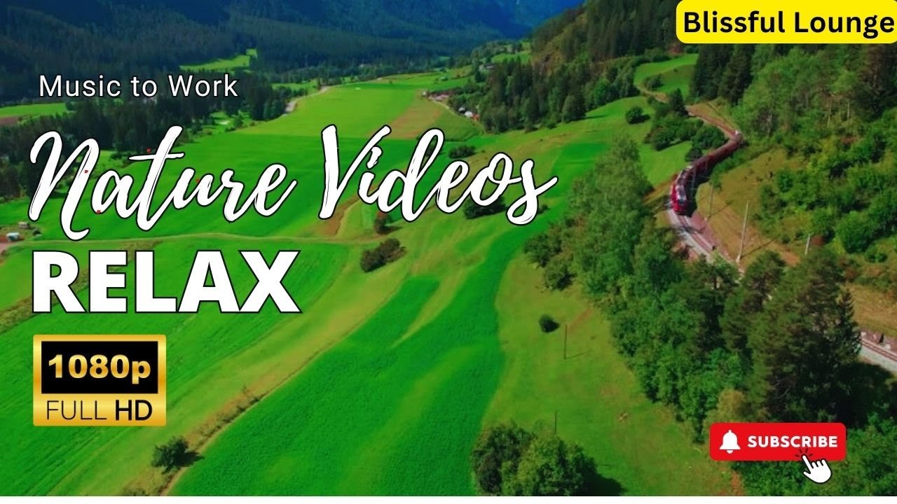 Nature Therapy: Relaxing Full Motion Forestry with Natural Sounds ...