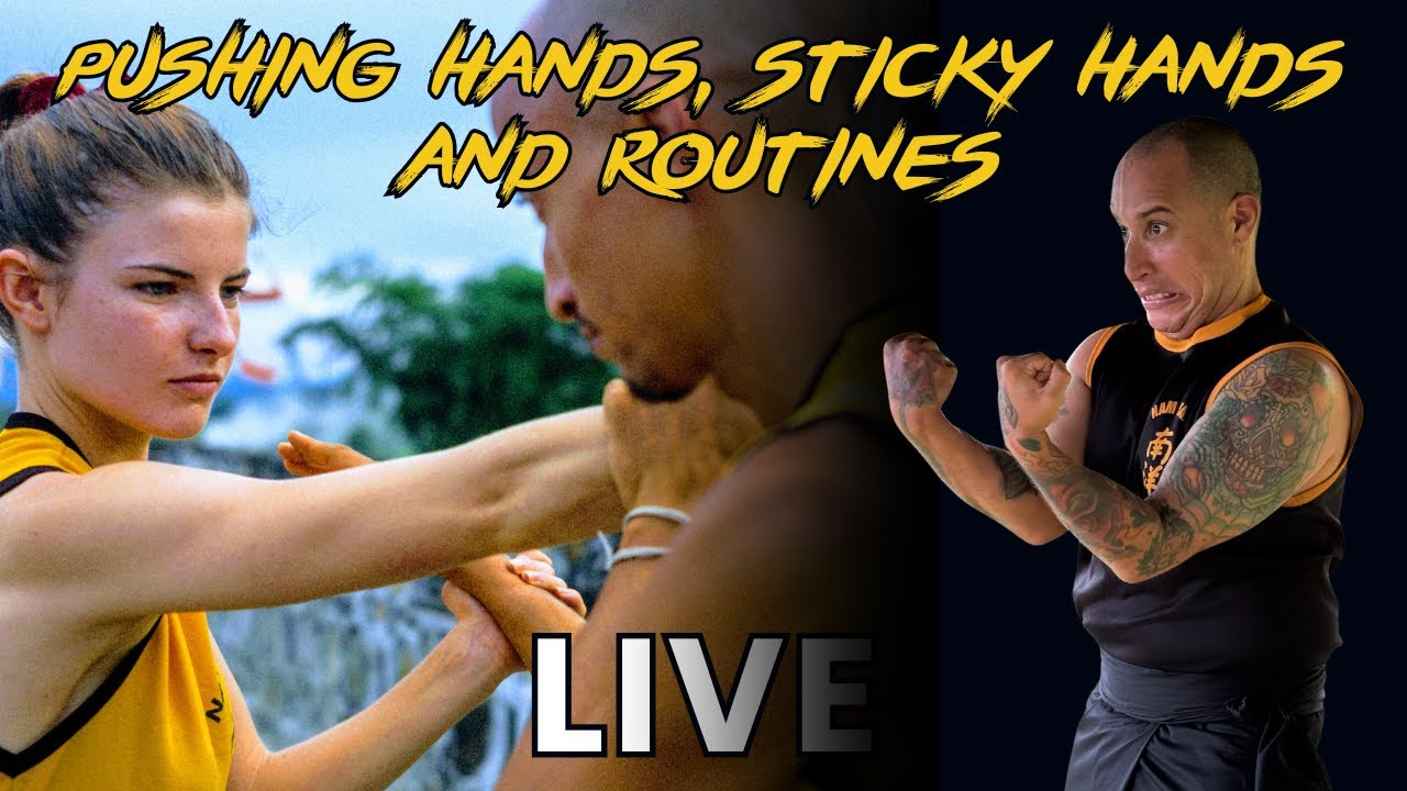 Pushing hands, sticky hands and routines - YouTube
