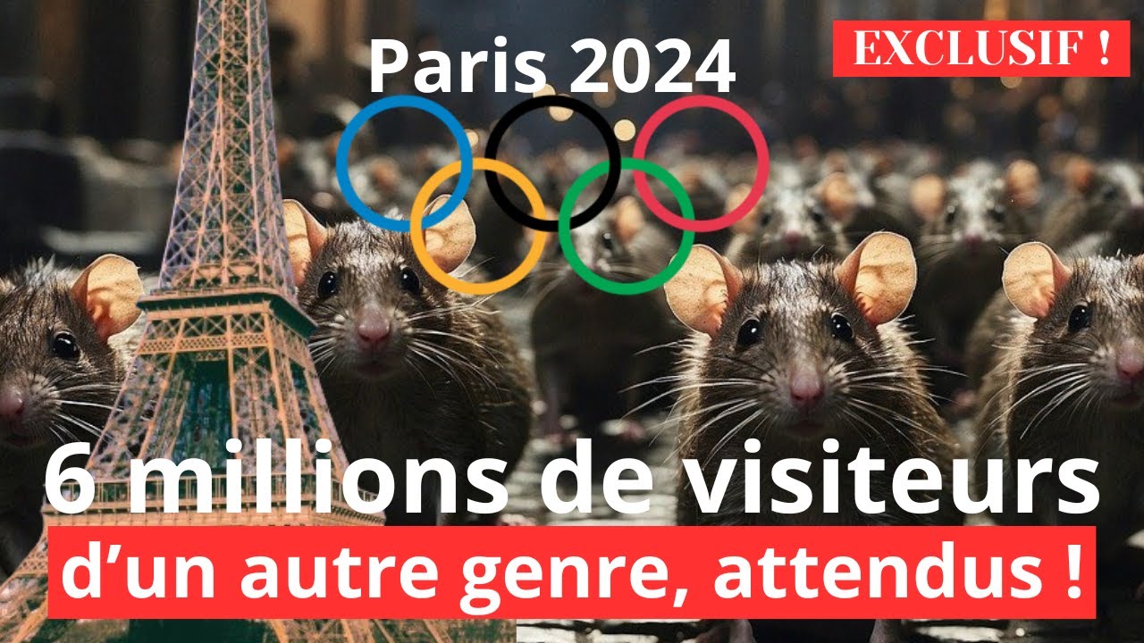 Cérémonie d’ouverture des JO 2024 : les RATS étaient présents et le ...