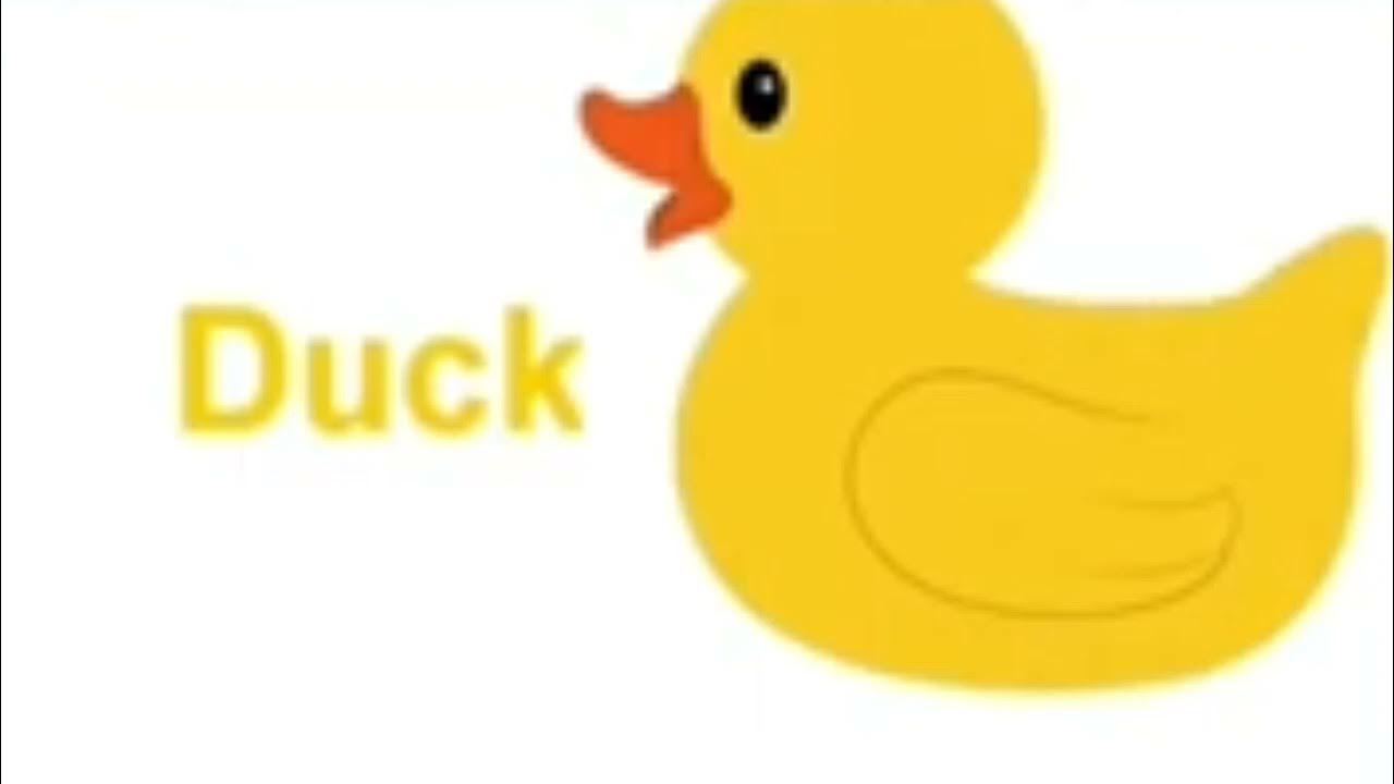 Learn The ABCs Letter D For Duck - YouTube