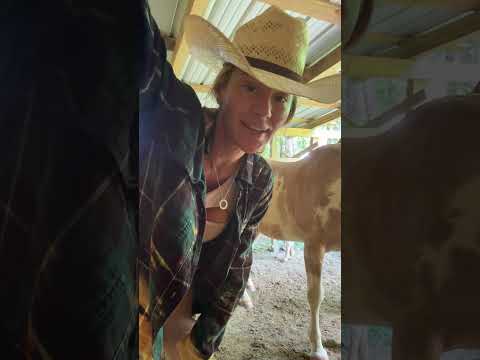 Out in the barn 