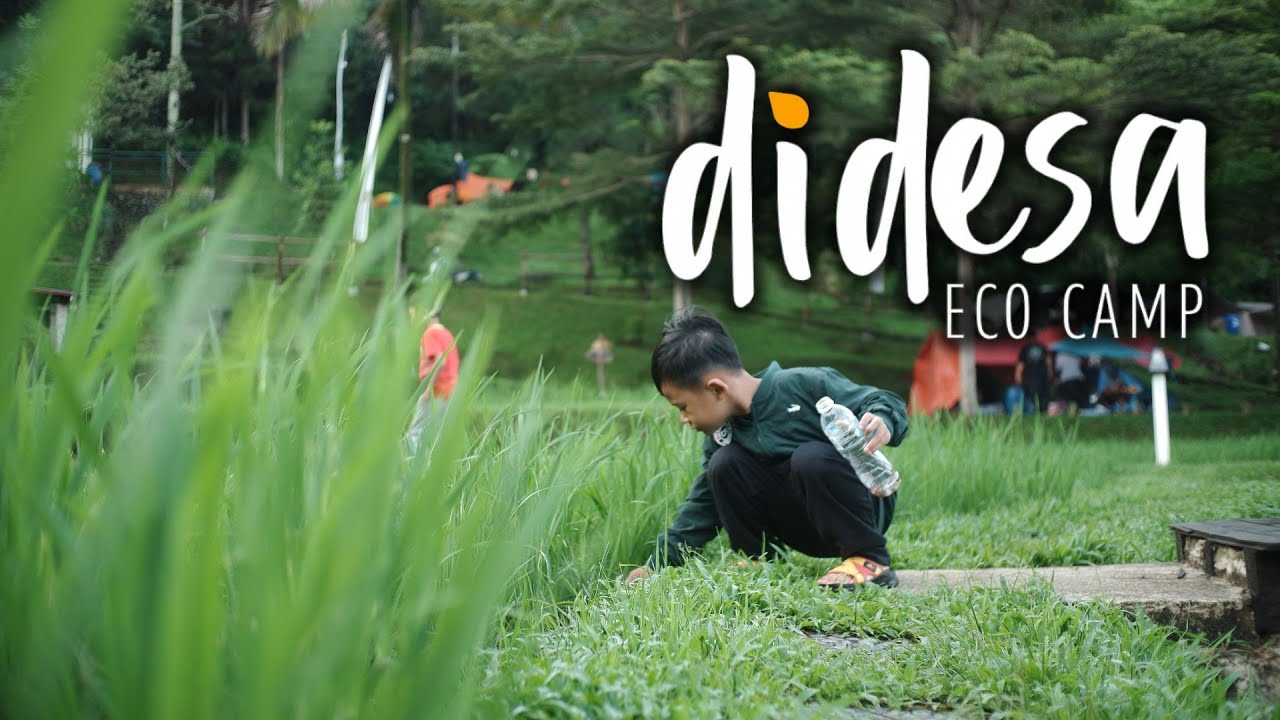 didesa Eco Camp, Camping dipinggir sawah - YouTube