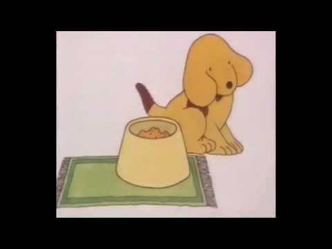 SPOT'S SURPRISE PARCEL