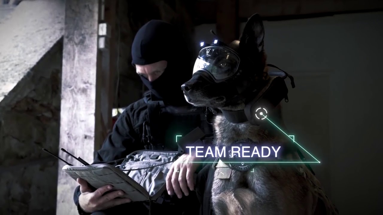 K9 Vision System, caméra pour chien - YouTube