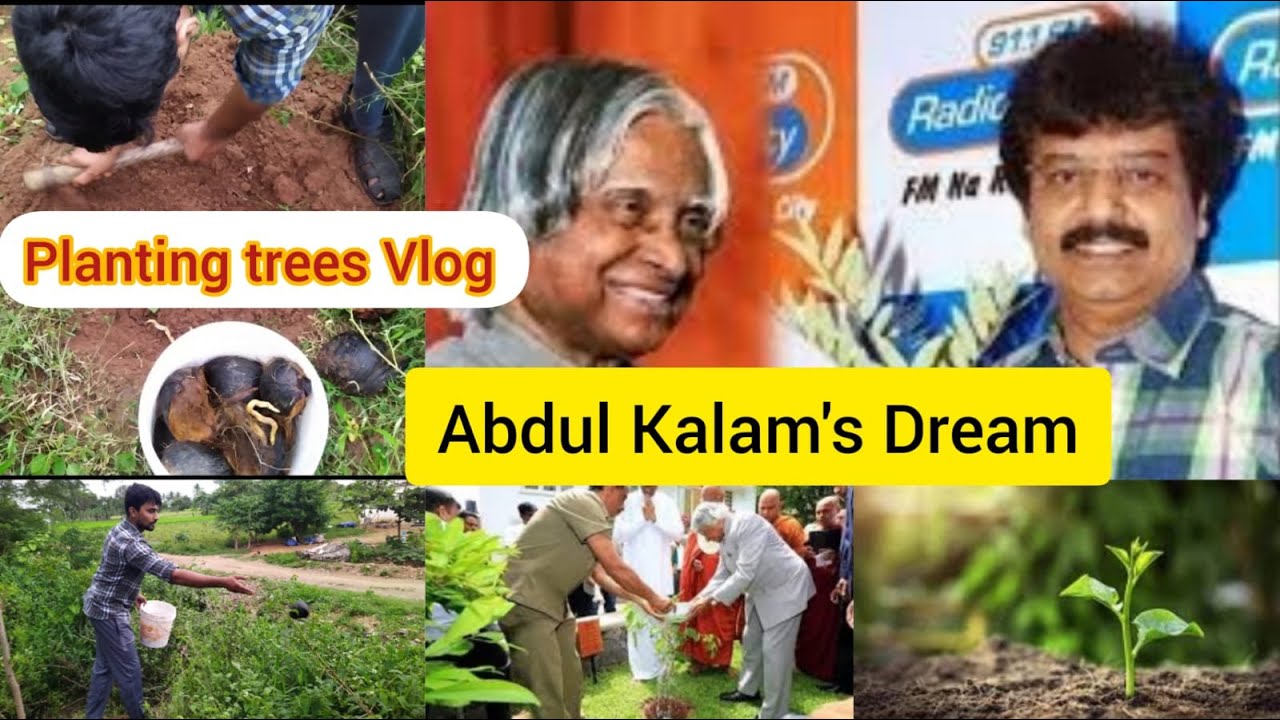 Planting Trees - Abdul Kalam's Dream & Actor Vivek's Dream - Planting ...