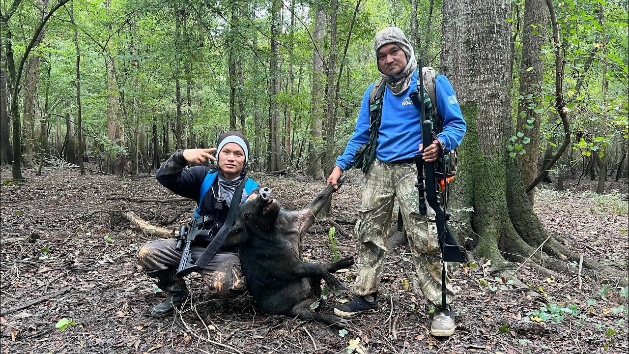 Go Hunting Hogs in FL .! - YouTube