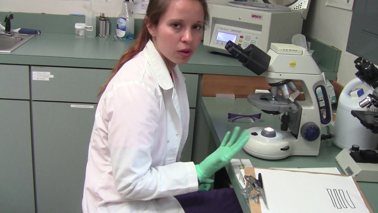 Task 15 pt. 4: Fecal: Centrifugation with Flotation - YouTube