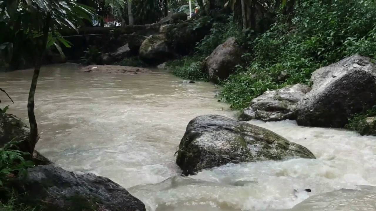 Chalet Rimba Jinbara - Kemensah - YouTube