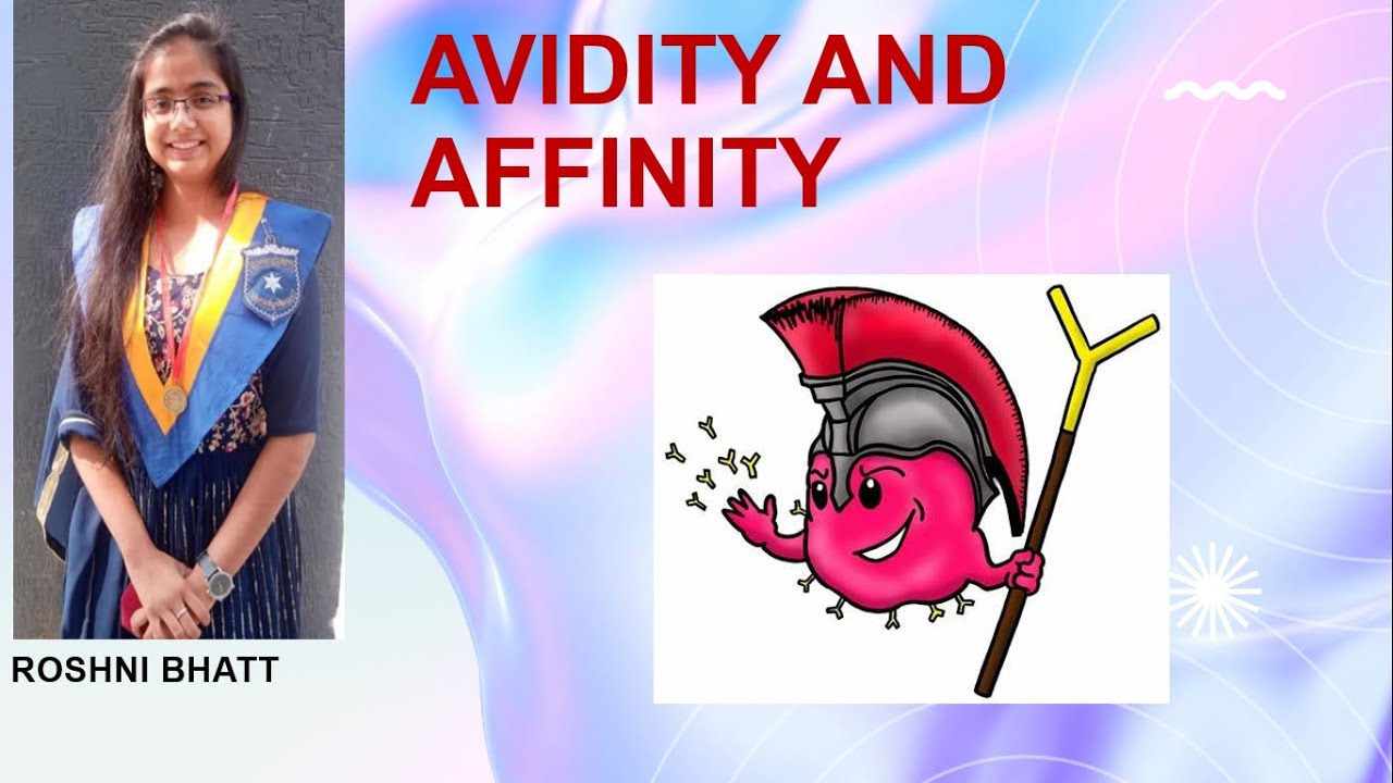 What is the meaning of Avidity and affinity? ? - YouTube