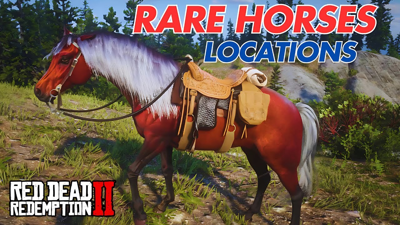 4 Beautiful Rare Arabian Horses you can get as early as Chapter 2 in ...