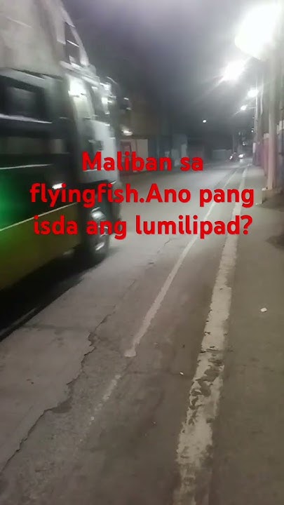 Anong isda Ang lumilipad maliban sa flying fish? - YouTube