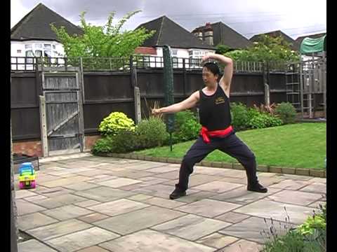 Wu Bu Quan - Shaolin Five Stances Kung Fu form 06/2011 - YouTube