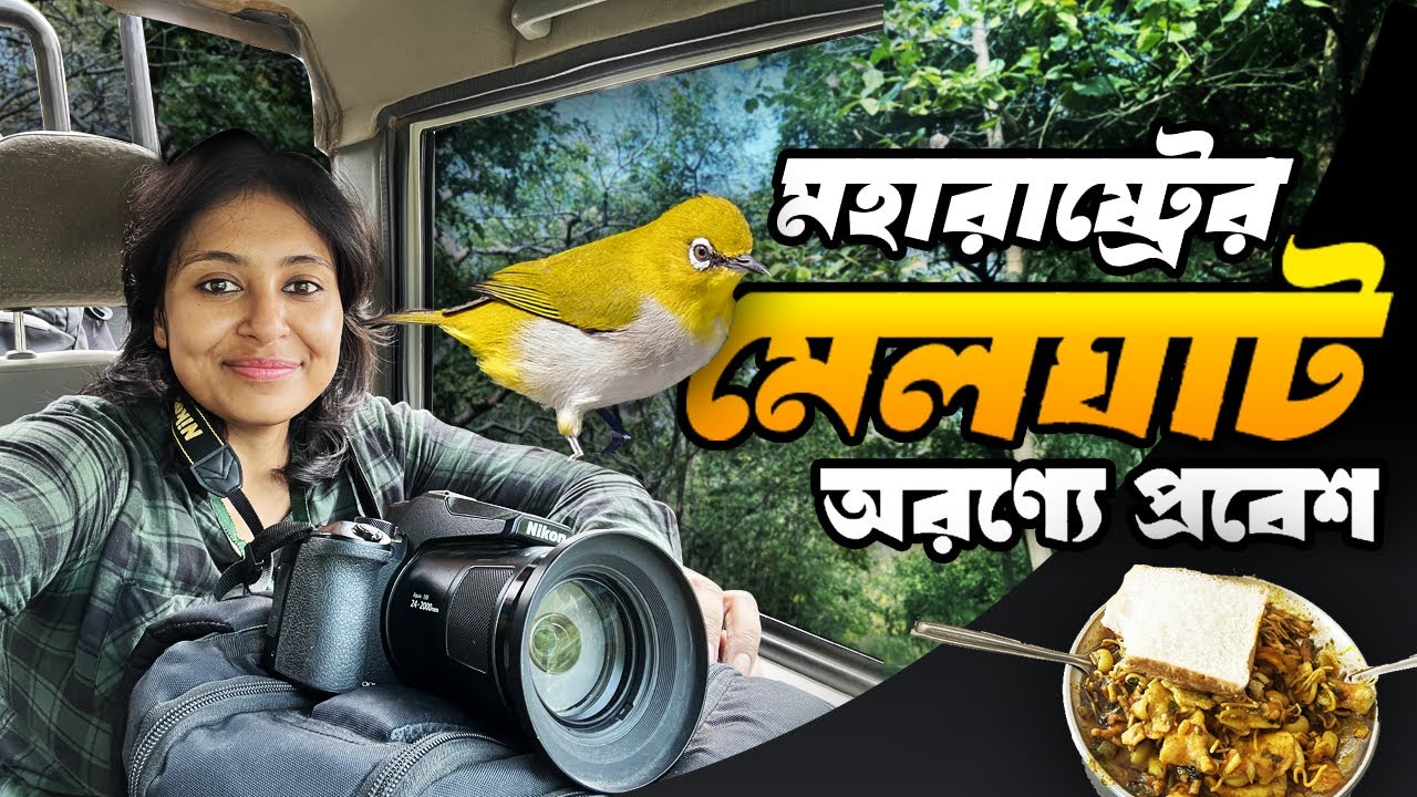 How to Reach Melghat Tiger Reserve - Maharashtra | Melghat Bird Survey ...