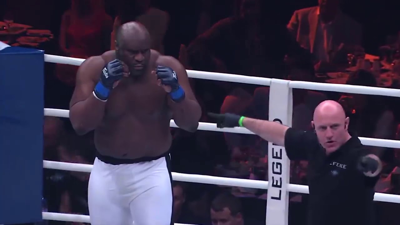 Jiri Prochazka (Czech Republic) vs Brandon Halsey (USA) | KNOCKOUT, MMA ...
