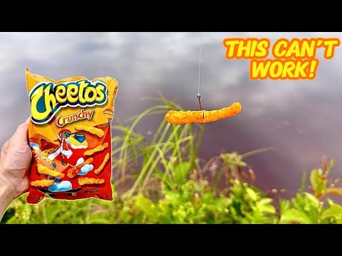 Fishing with Cheetos!! (This is Absolutely Absurd!) - YouTube