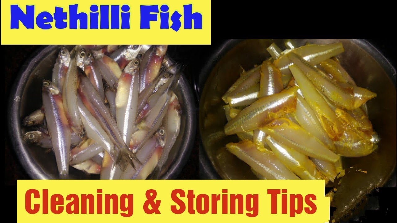 How to clean nethili fish/nethili meen cleaning method/Anchovies ...